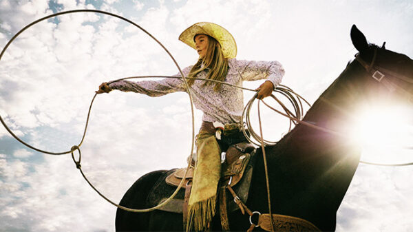 Explore - Skyline Ridge