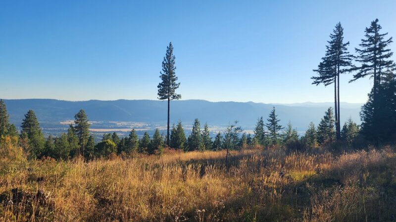 Skyline Ridge - New Homes and Lots in Cle Elum & Roslyn, Washington