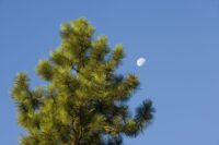 Skyline Ridge - New Homes and Lots in Cle Elum & Roslyn, Washington